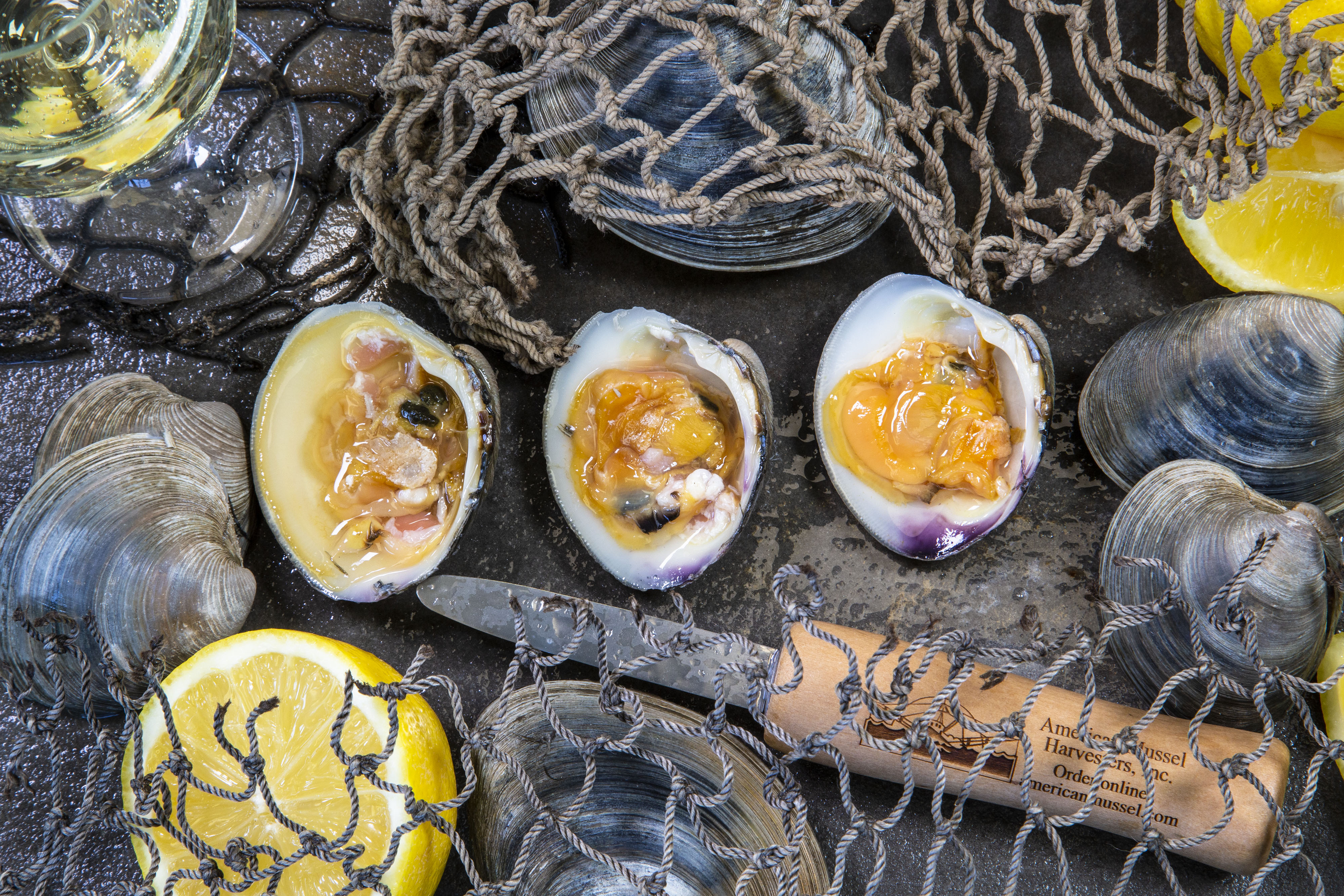 Photos | American Mussel Harvesters, Inc.