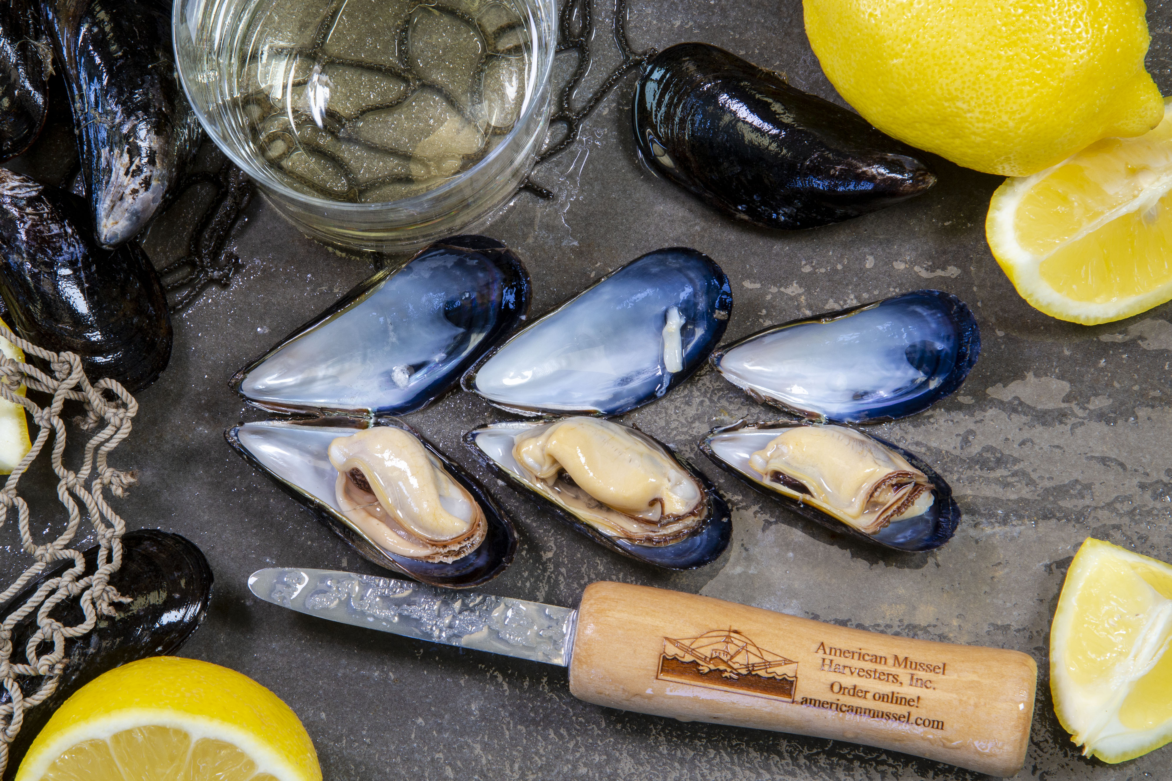 Photos | American Mussel Harvesters, Inc.
